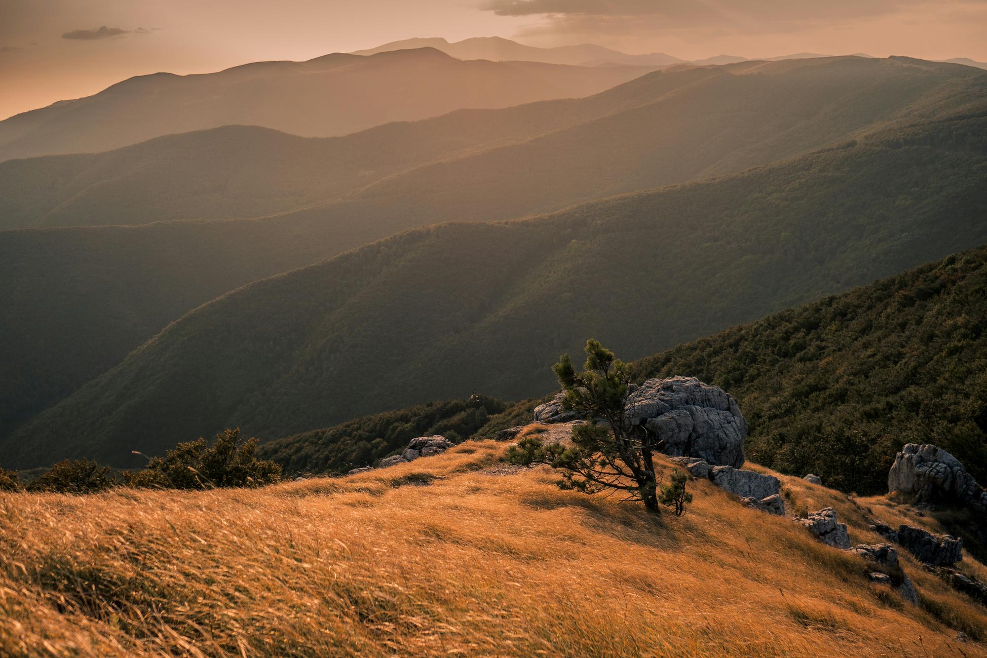 Bulgaria | Outreaches | Derek Prince Ministries