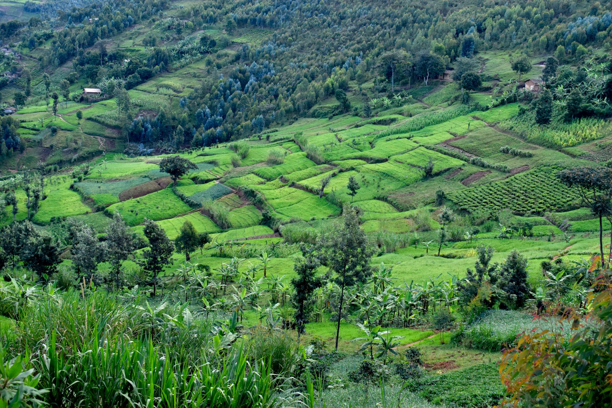 Burundi | Outreaches | Derek Prince Ministries