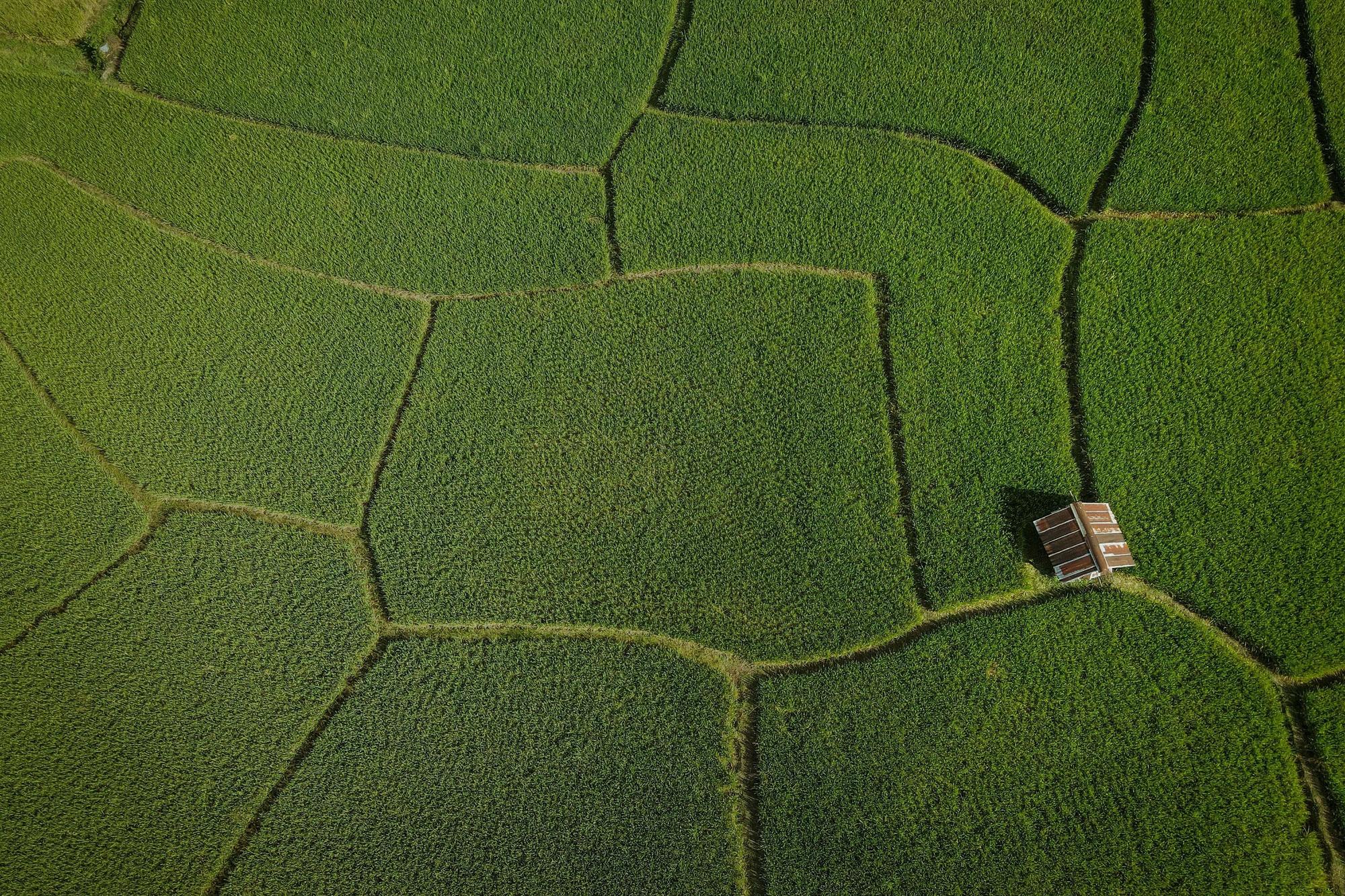 Cambodia | Outreaches | Derek Prince Ministries